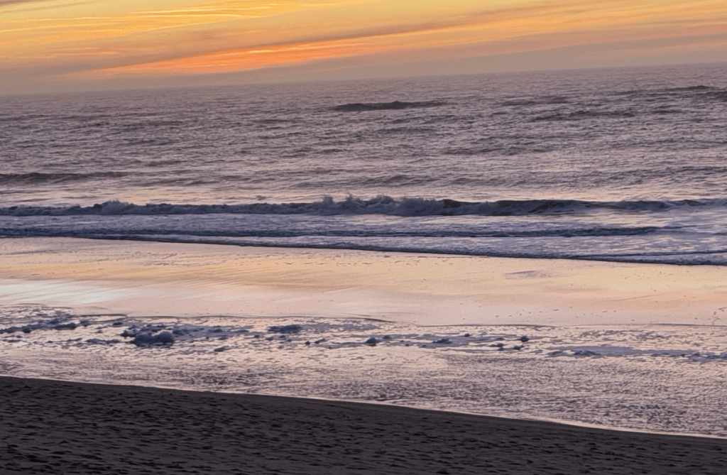 Warum der Sylter Winter die beste (und härteste) Kur der Welt ist ...