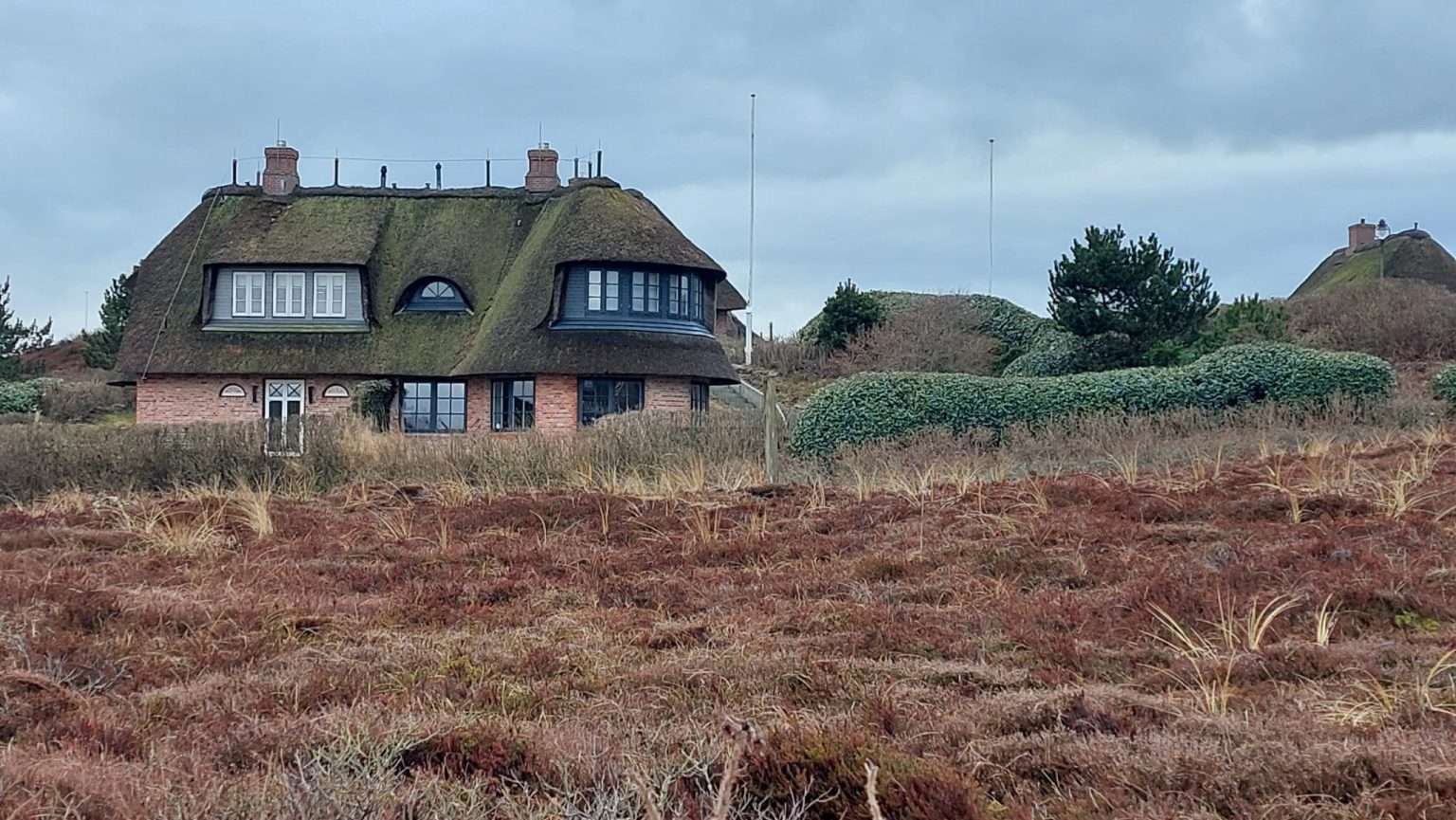 Die Königin bittet zum Tanz: Warum Sylt gerade jetzt ihr schönstes ...