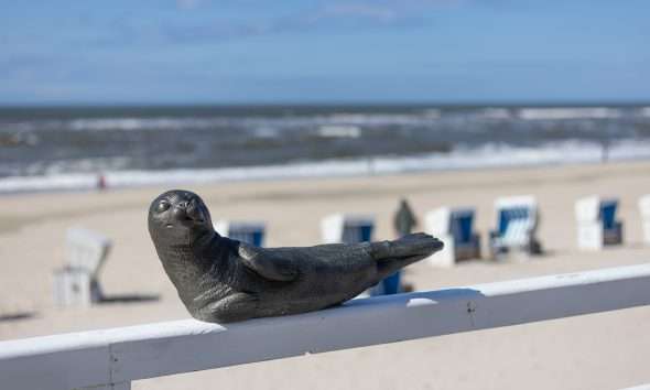 Heißer Sand auf Sylt – Pius on the Beach - Sylt1 - Das Sylter Fernsehen